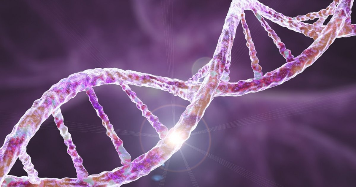 Complete human genome sequenced for the first time