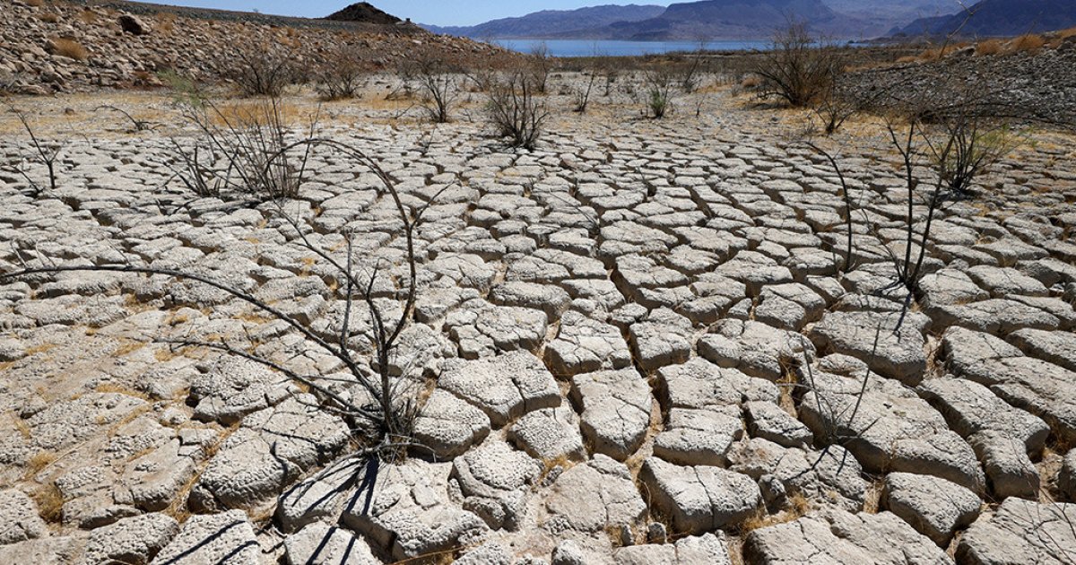Infographic: Five billion could face water shortage by 2050