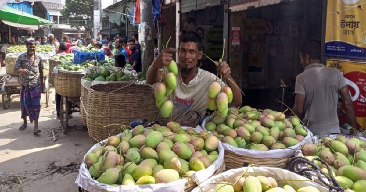 100 tons of mangoes from Satkhira to be exported to Europe