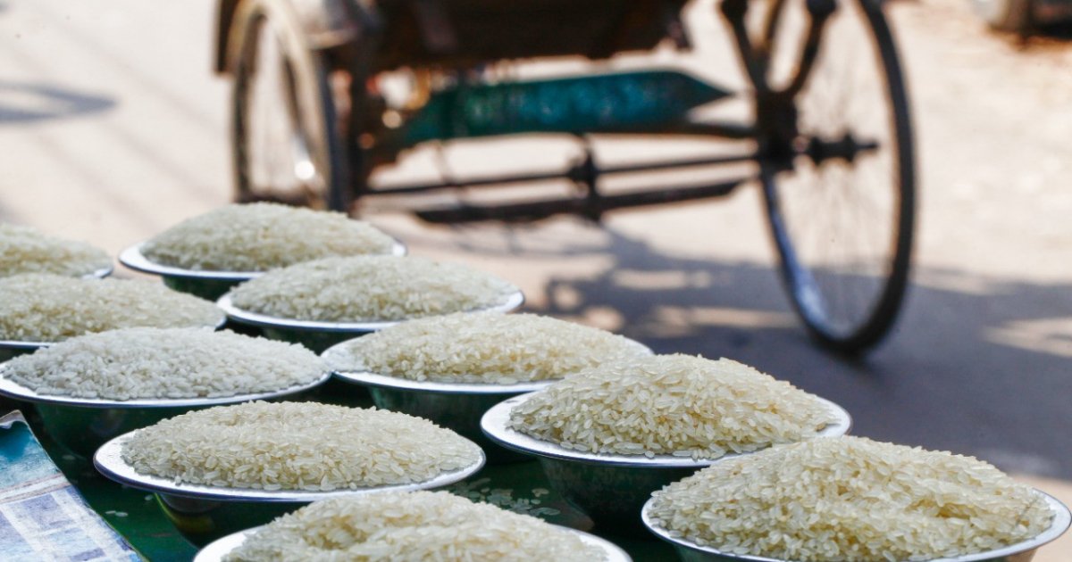 Bangladesh to import 50,000 tonnes of rice