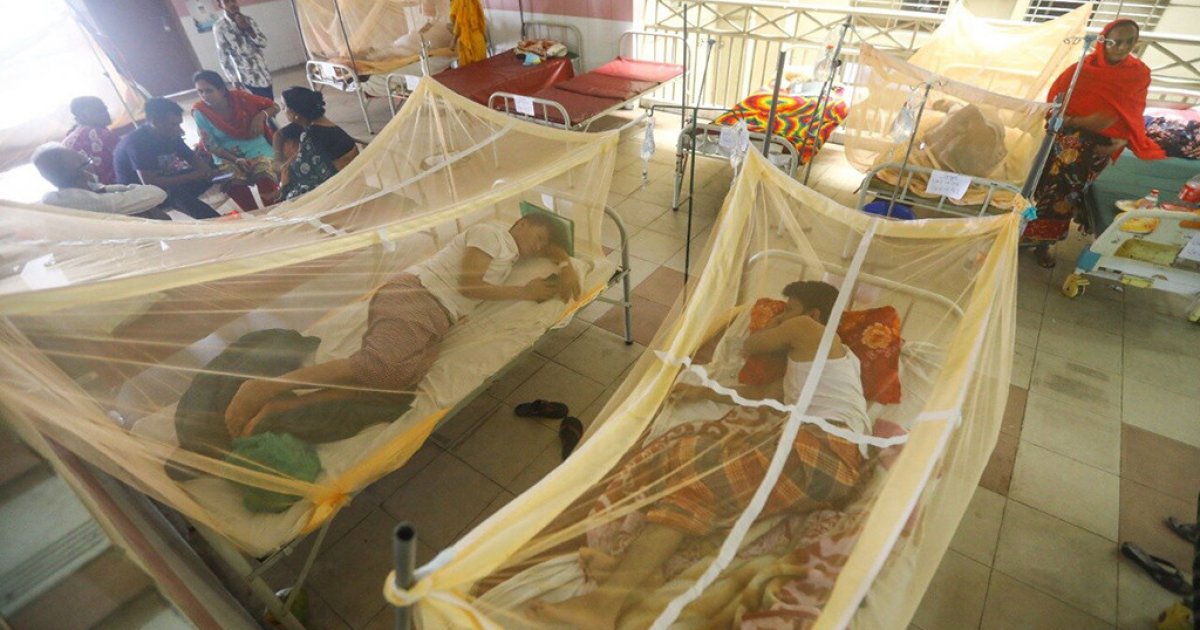 In Pictures: Monsoon triggers dengue outbreak in Bangladesh In Pictures: Monsoon triggers dengue outbreak in Bangladesh