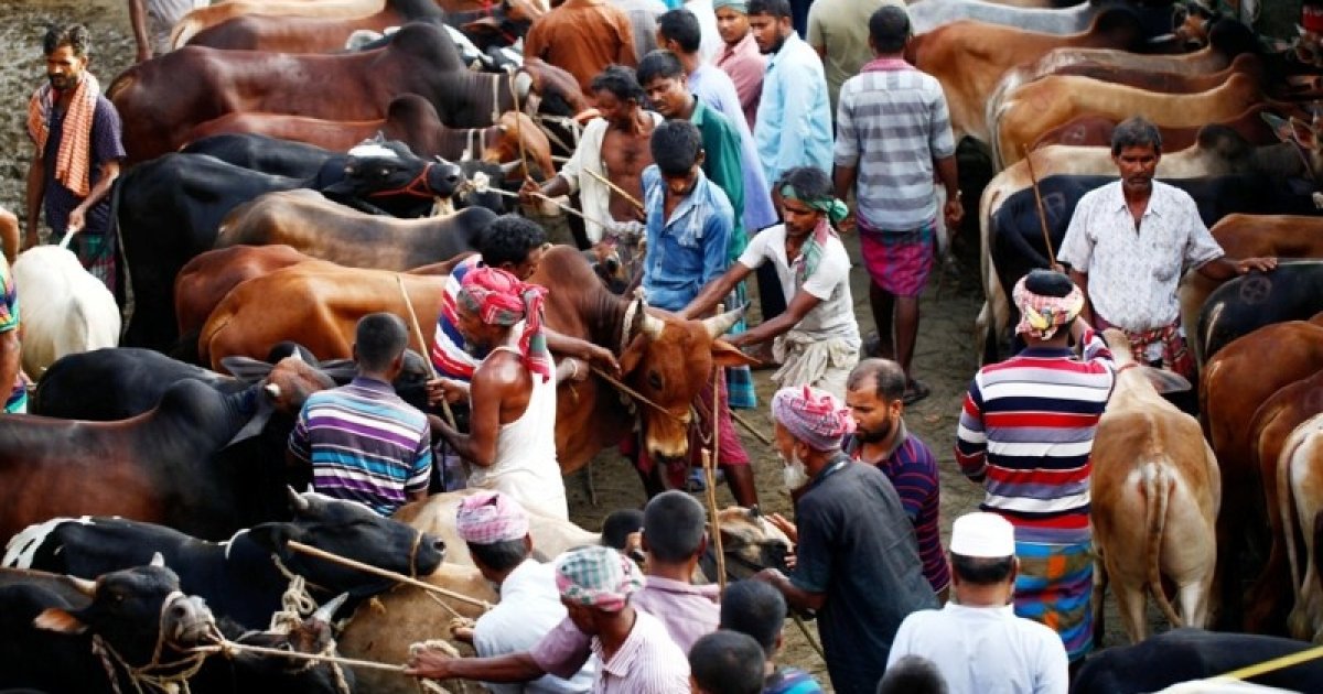 Government launches online cattle marketplace for the third time