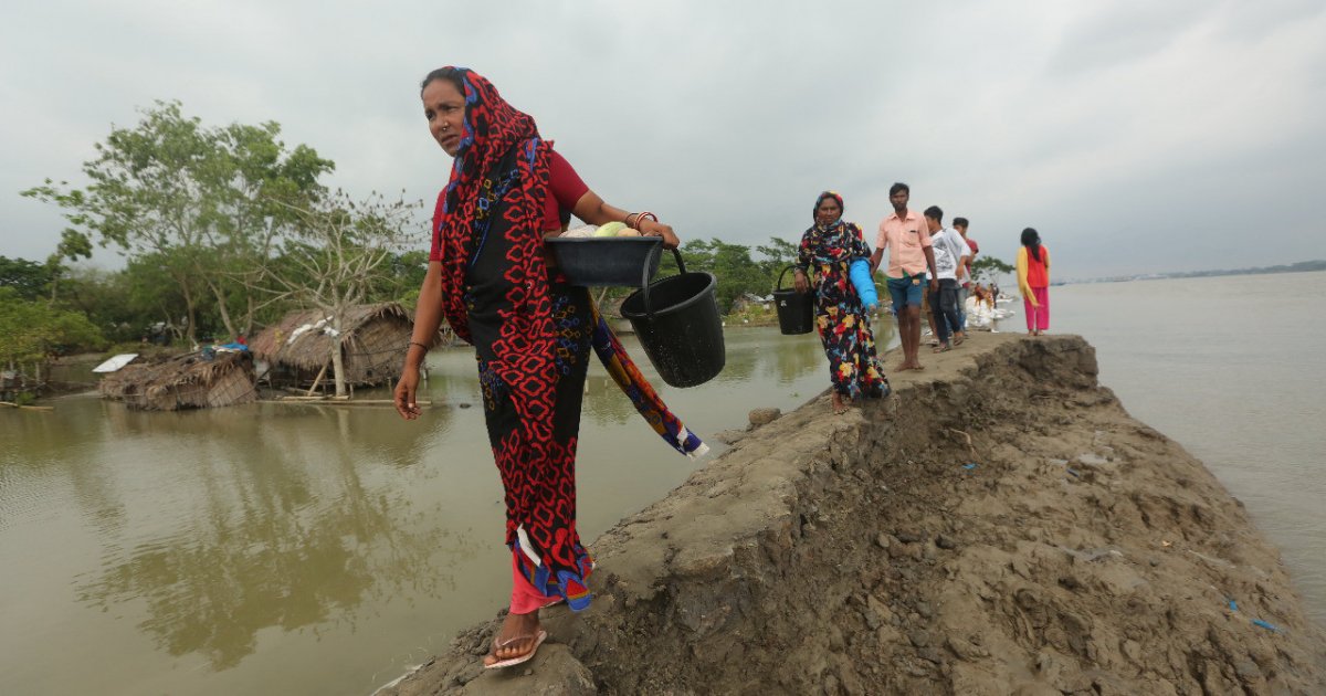 Effective adaptation for avoiding maladaptation