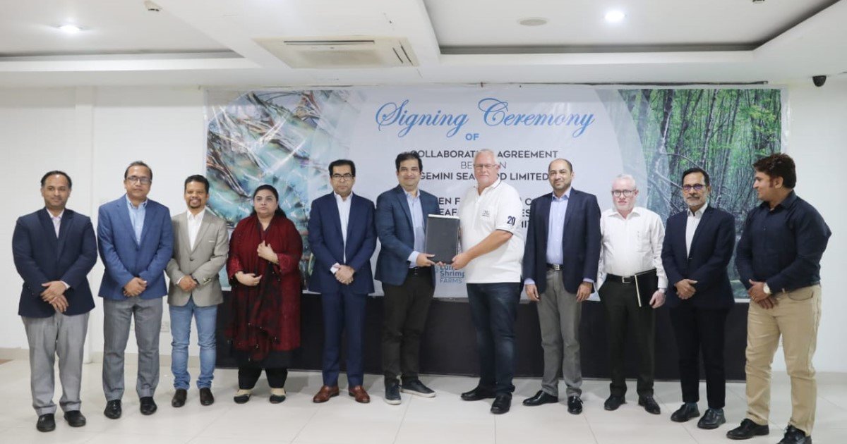 Gemini Seafood inks deal with Lenk Frozen - a significant milestone for ...