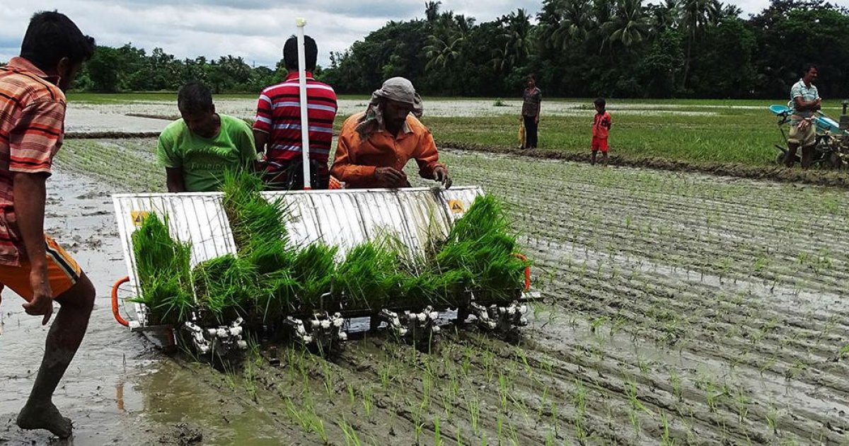The scientists of Khamar Bari