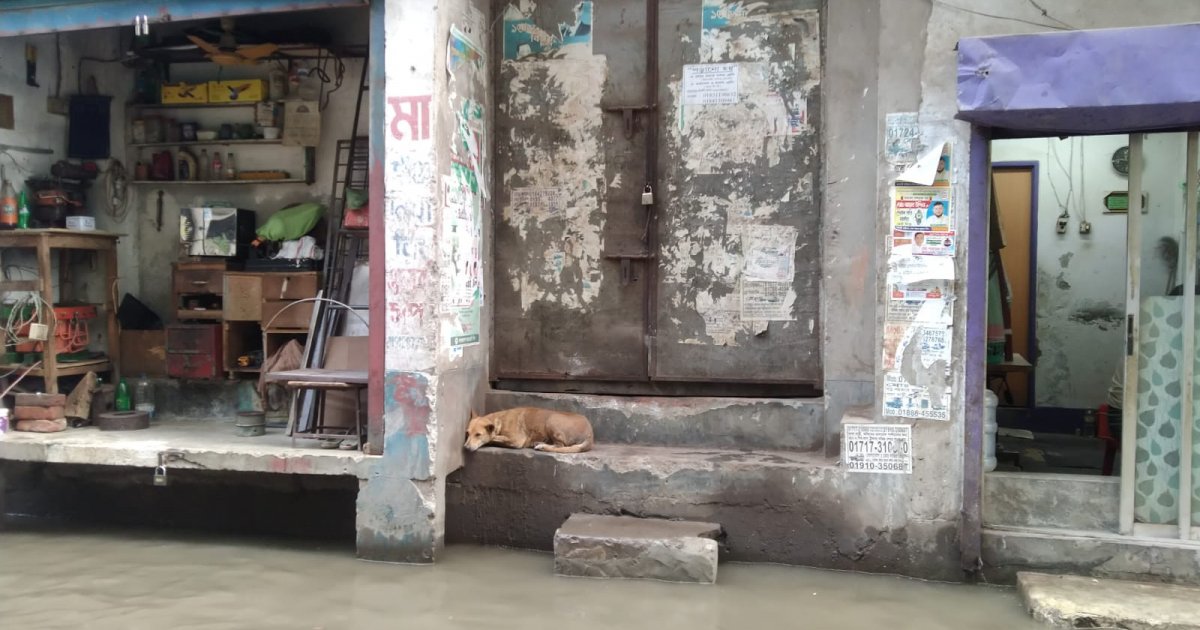 In pictures: With rain comes waterlogging