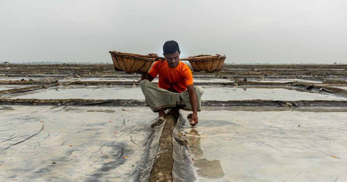 Highest salt production in Bangladesh in 62 years