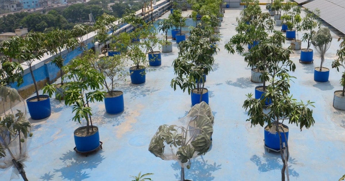 Towards improving the livability and lovability of our cities