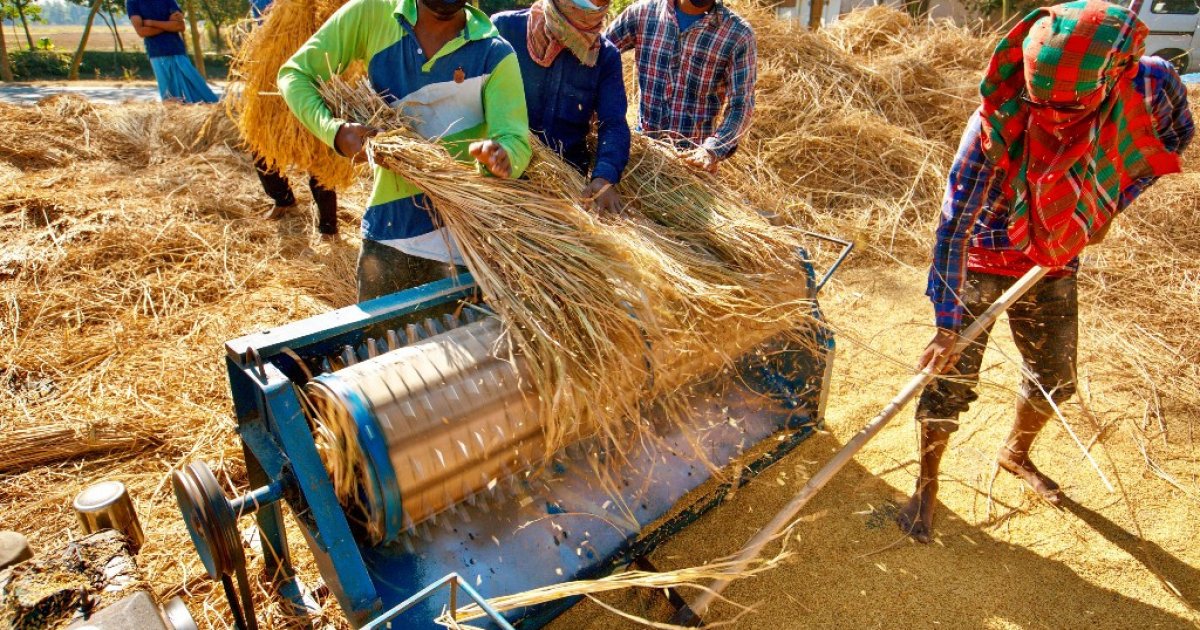 BB issues new 10,000C agri loan fund