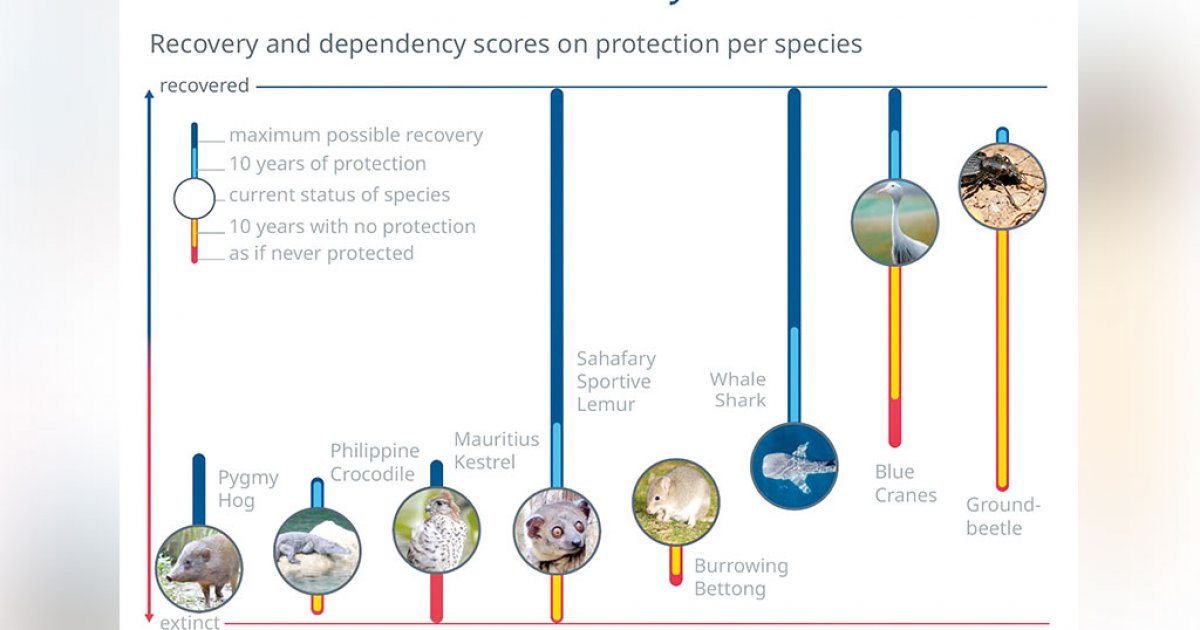 Biodiversity: Can extinctions be stopped?