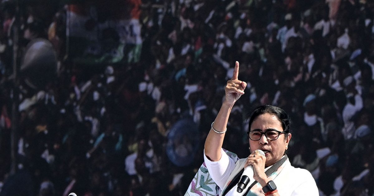 Mamata Banerjee suffers head injury