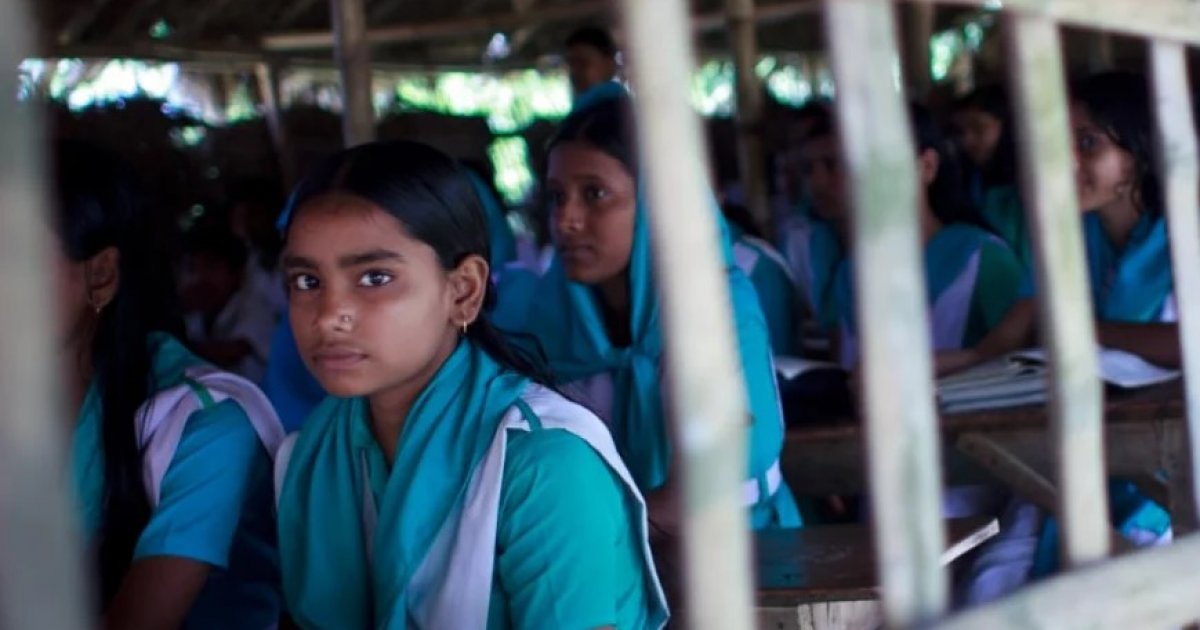 How inequality deepens the educational divides