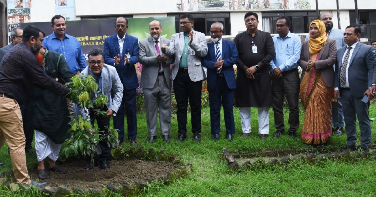 Pubali Bank launches tree plantation program at National University