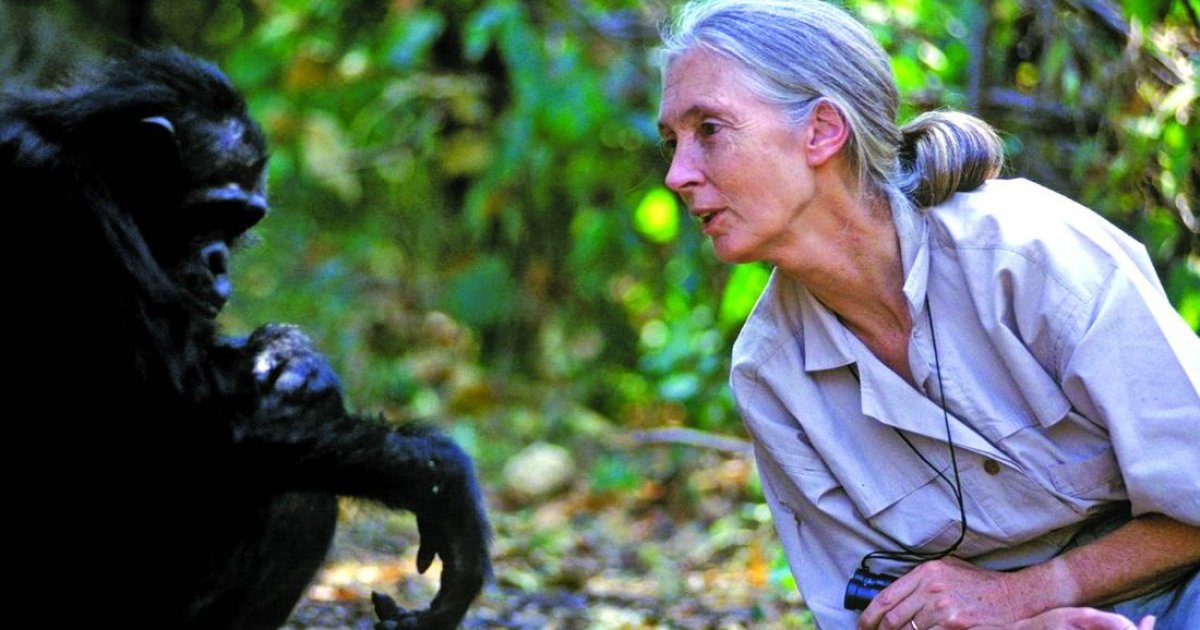 Adieu, wildlife ambassador – Jane Goodall