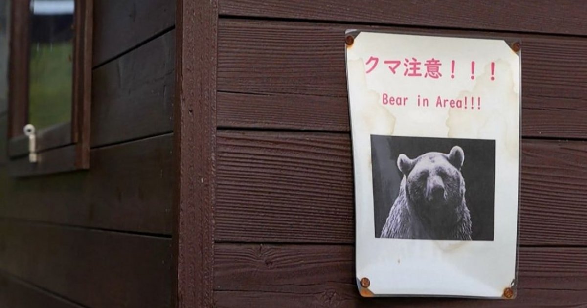 Japan to enlist retired cops, soldiers to cull bears