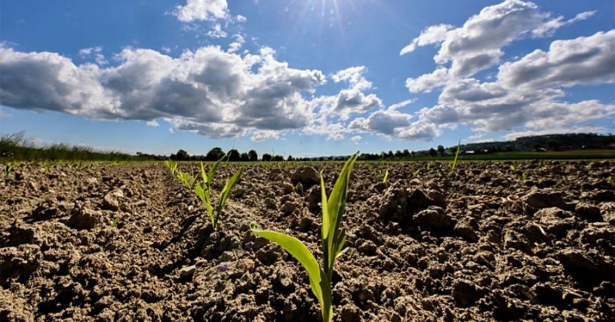 EU monitor: World sees second hottest May as Europe faces 'new normal'