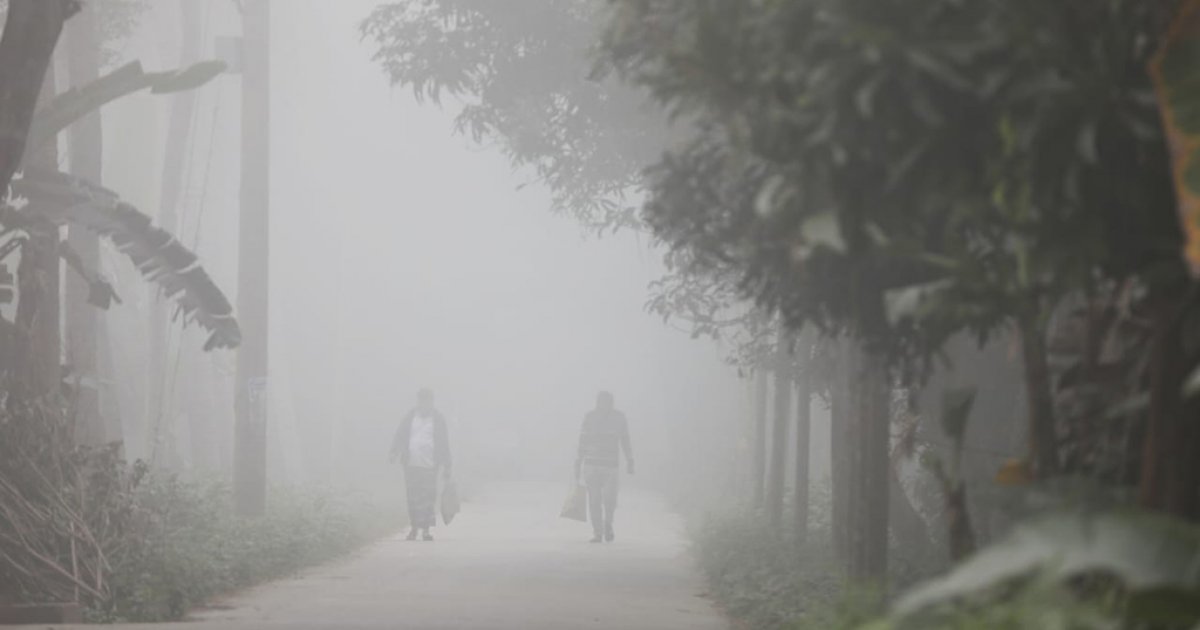 Cold wave sweeps across Dhaka, 2 other divisions