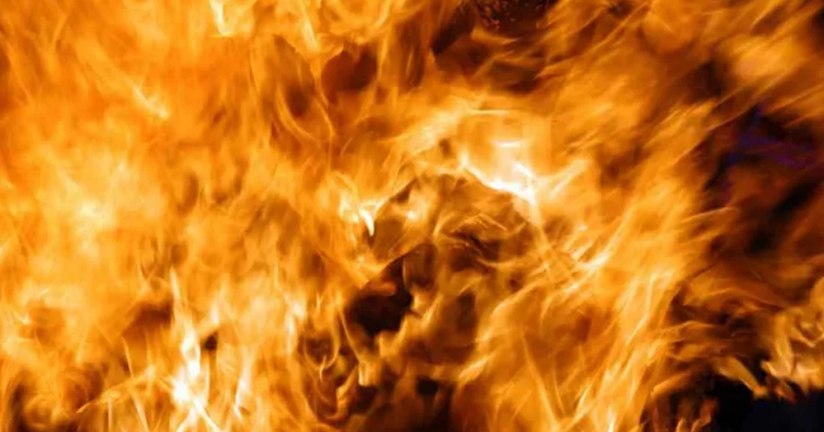 Six shops gutted in fire at Naria Bazar in Shariatpur