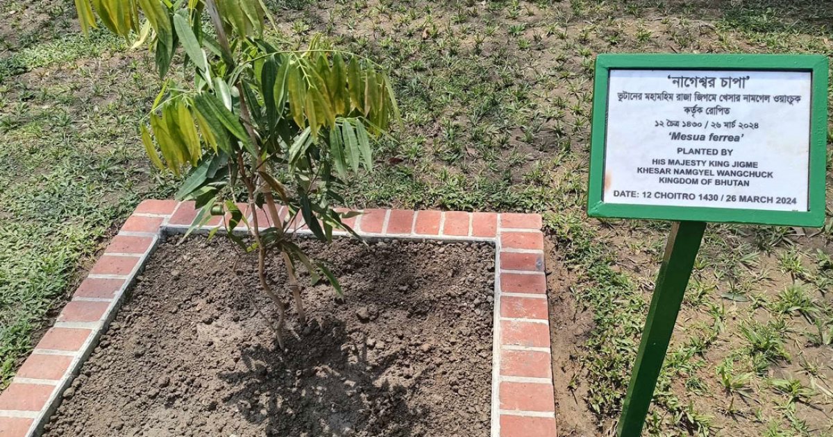 Bhutan king plants tree on National Martyrs' Memorial premises