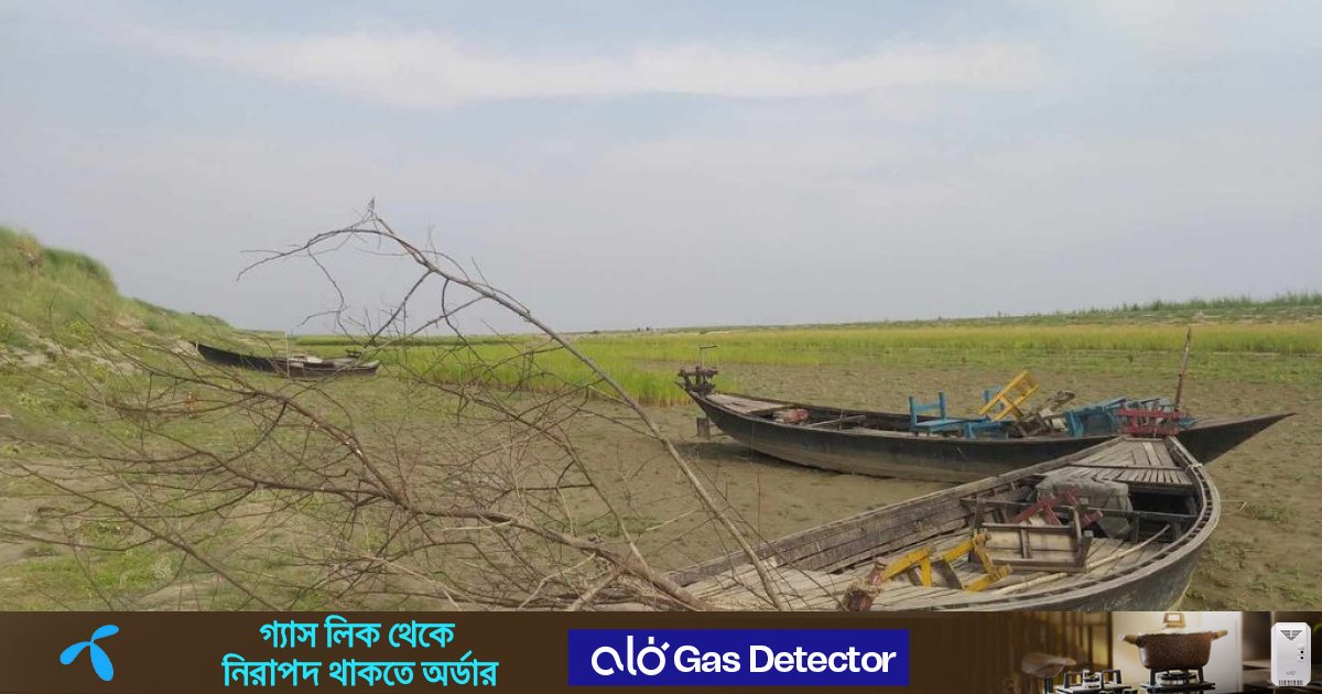 Cry for water is increasing as Barind region drying up