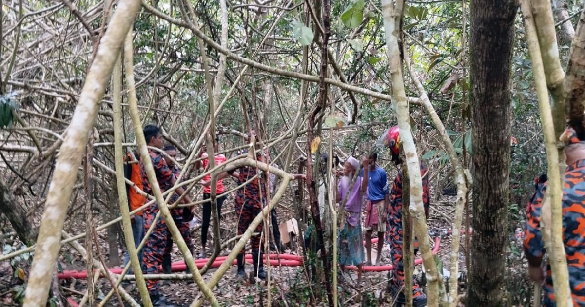 Sundarbans in peril: Frequent forest fires fuel threats to biodiversity