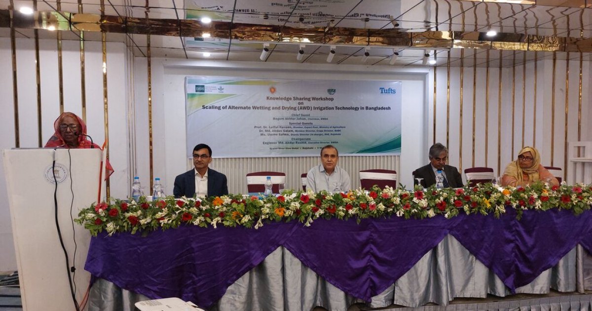 IRRI, Tufts University and BMDA collaborate to advance sustainable agriculture in Bangladesh