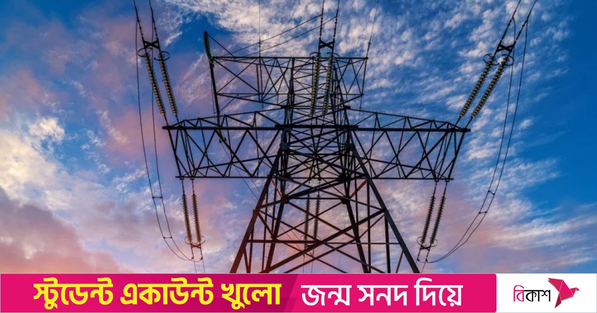 Adani power plant shutdown causes major electricity shortfall in Bangladesh