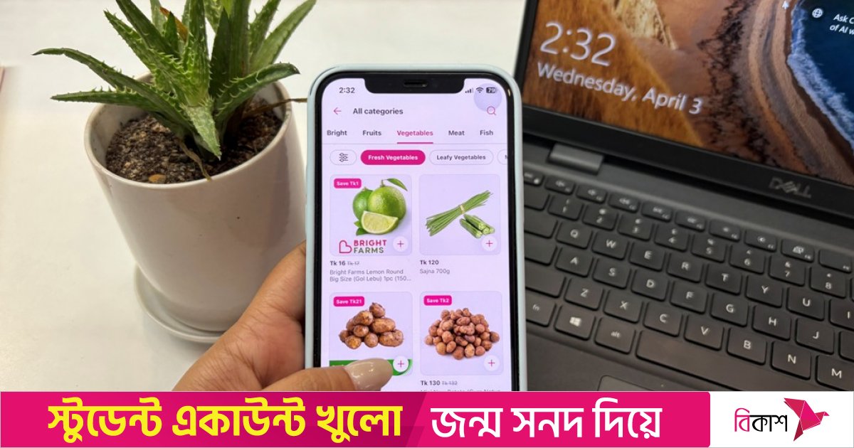 From physical stores to digital carts: How online shopping became ...