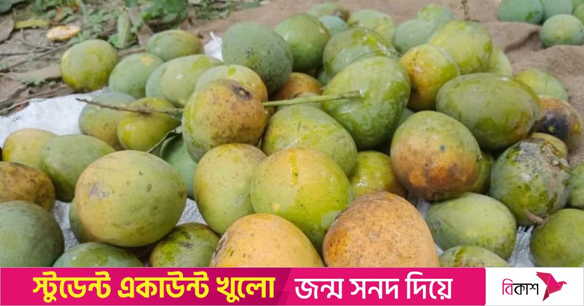 How to spot chemically ripened mangoes