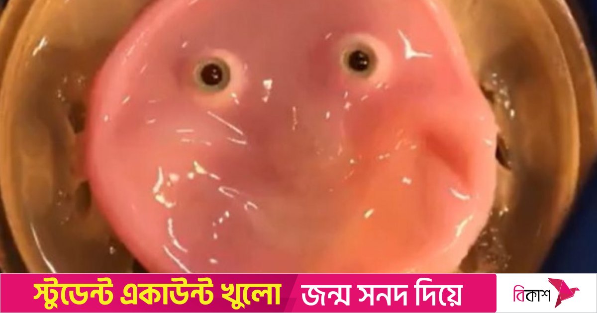 Japan scientists make smiling robot with ‘living’ skin