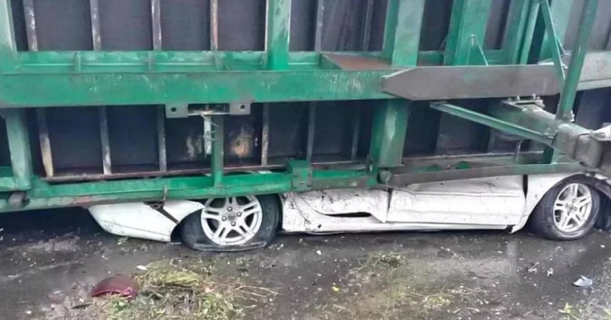 Five survive after container flattens car in Chittagong