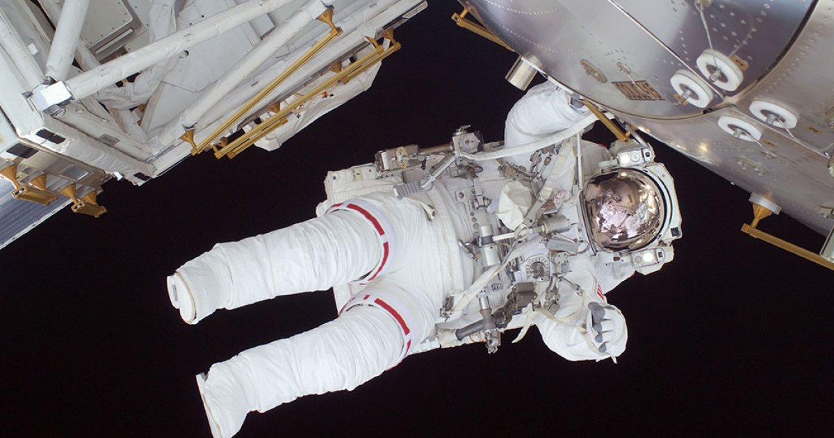 Life in space changes the human immune system