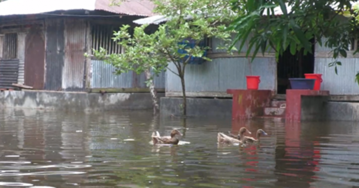 Hundreds of families marooned after Bagerhat embankment collapse
