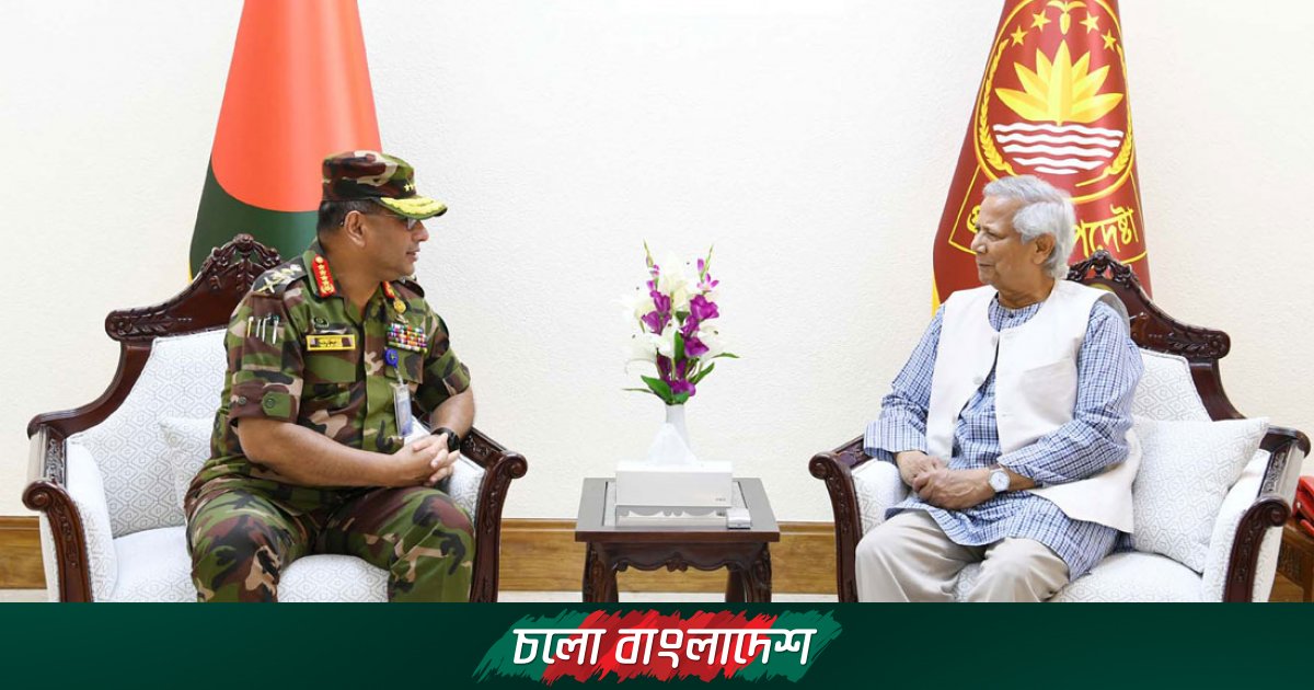 Army chief pledges full support for interim govt