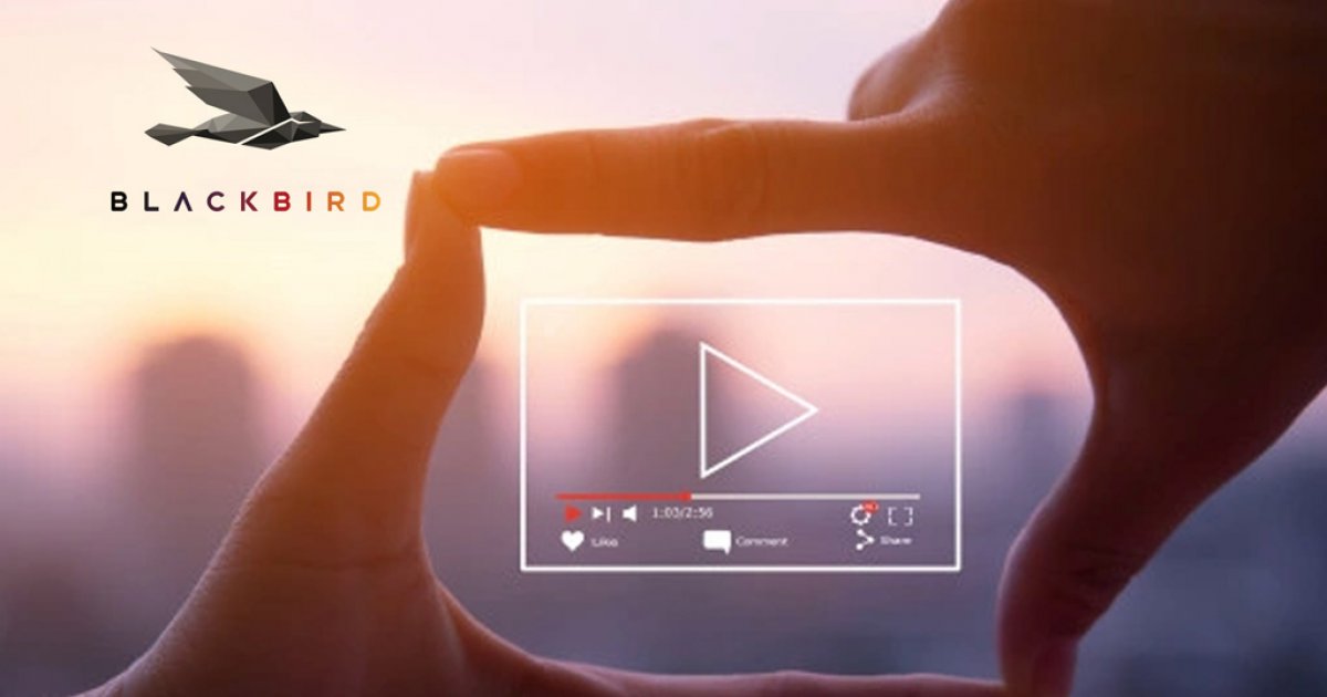 Blackbird (LON: BIRD) shares down 29% on results - Everything’s excellent except…