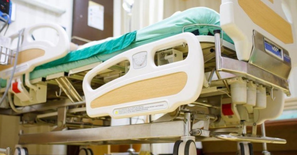 Falcon Hospital in Qatar making human hospitals reevaluate