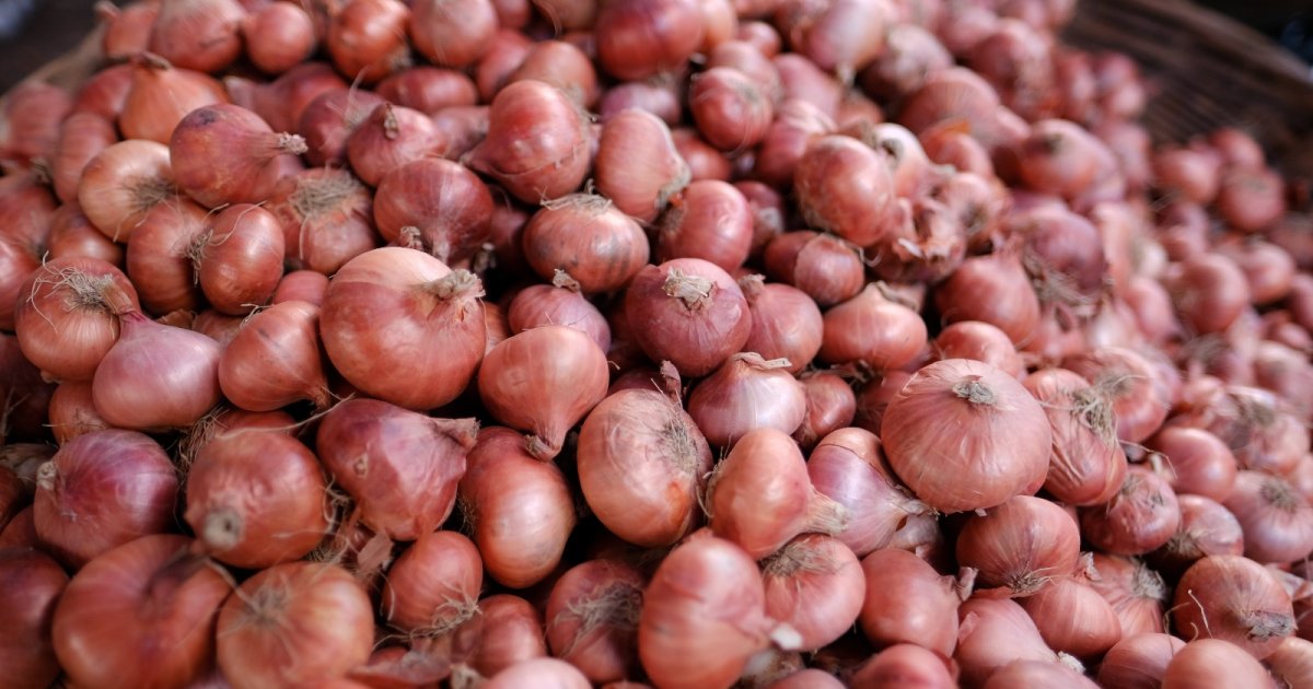 1,171 tons of onion imported from India in a day