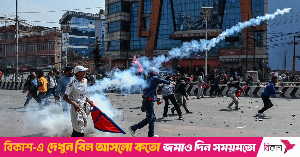 Nepal's monarchy: Is a royal revival on the horizon?