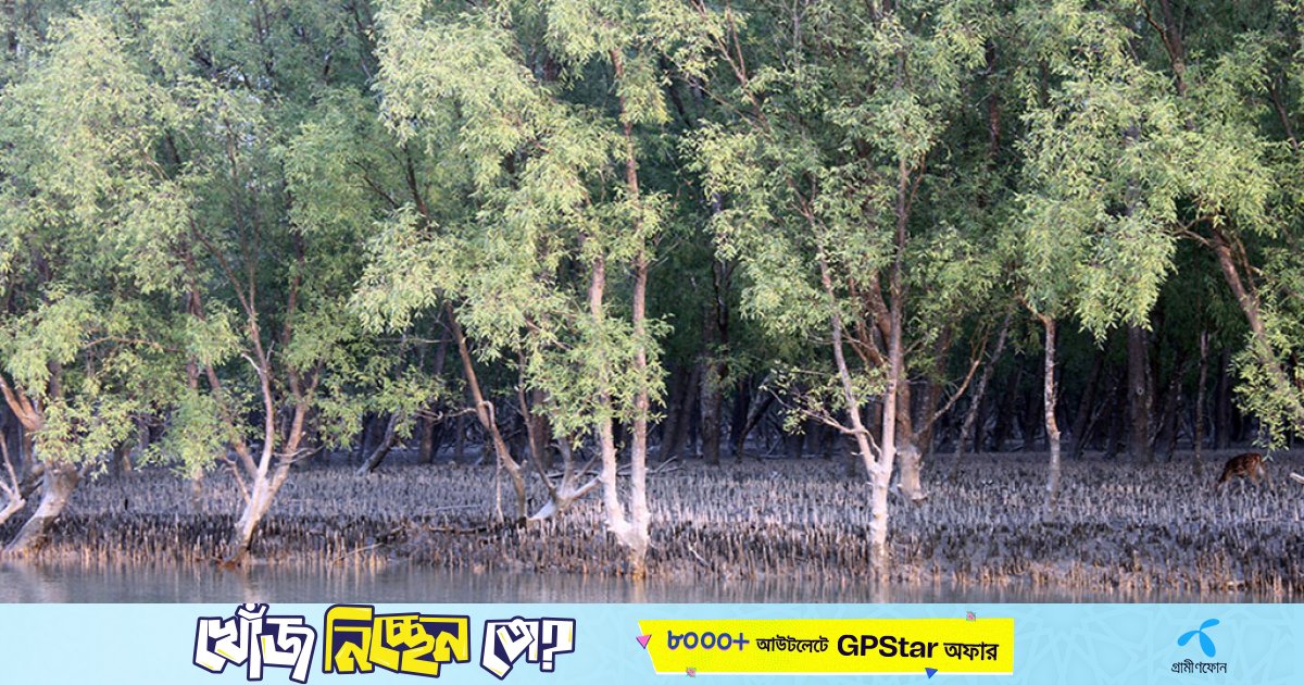 Protecting our most valuable treasure