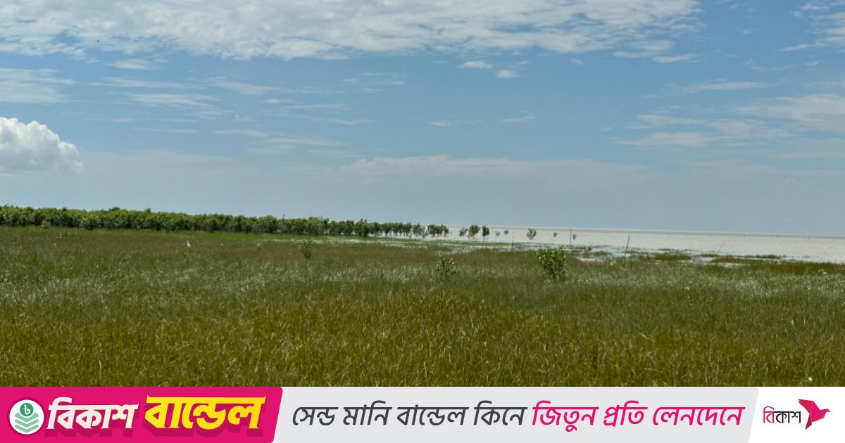 Nature-based solutions for vulnerable coastline protection