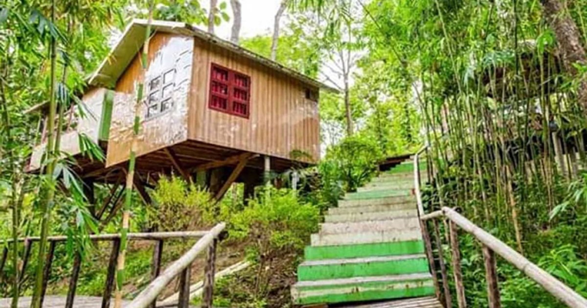 A night in a tree house in Bandarban