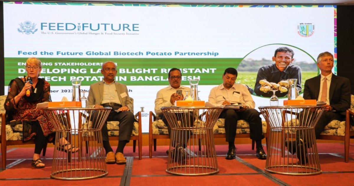 Late blight-resistant potatoes: Fostering hope for sustainable food ...