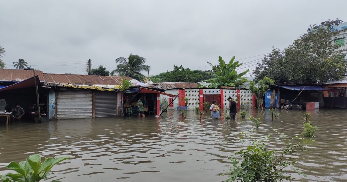 Mymensingh grapples with severe waterlogging due to heavy rain