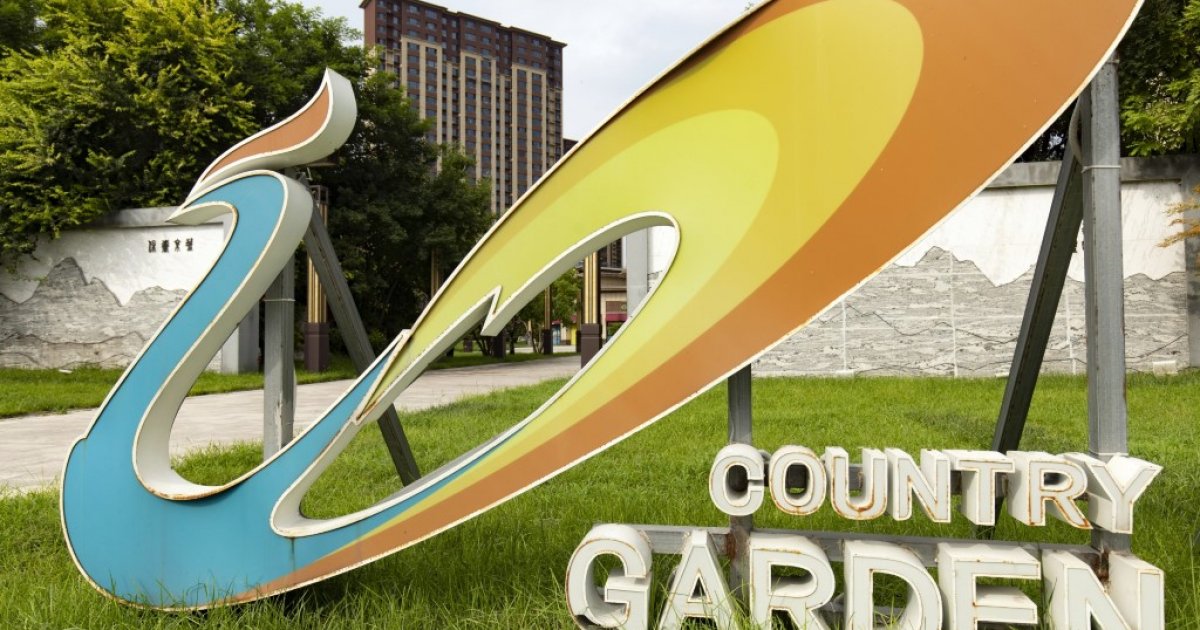 Incoming disaster, China gov asks Ping An (down 5%) to takeover Country ...