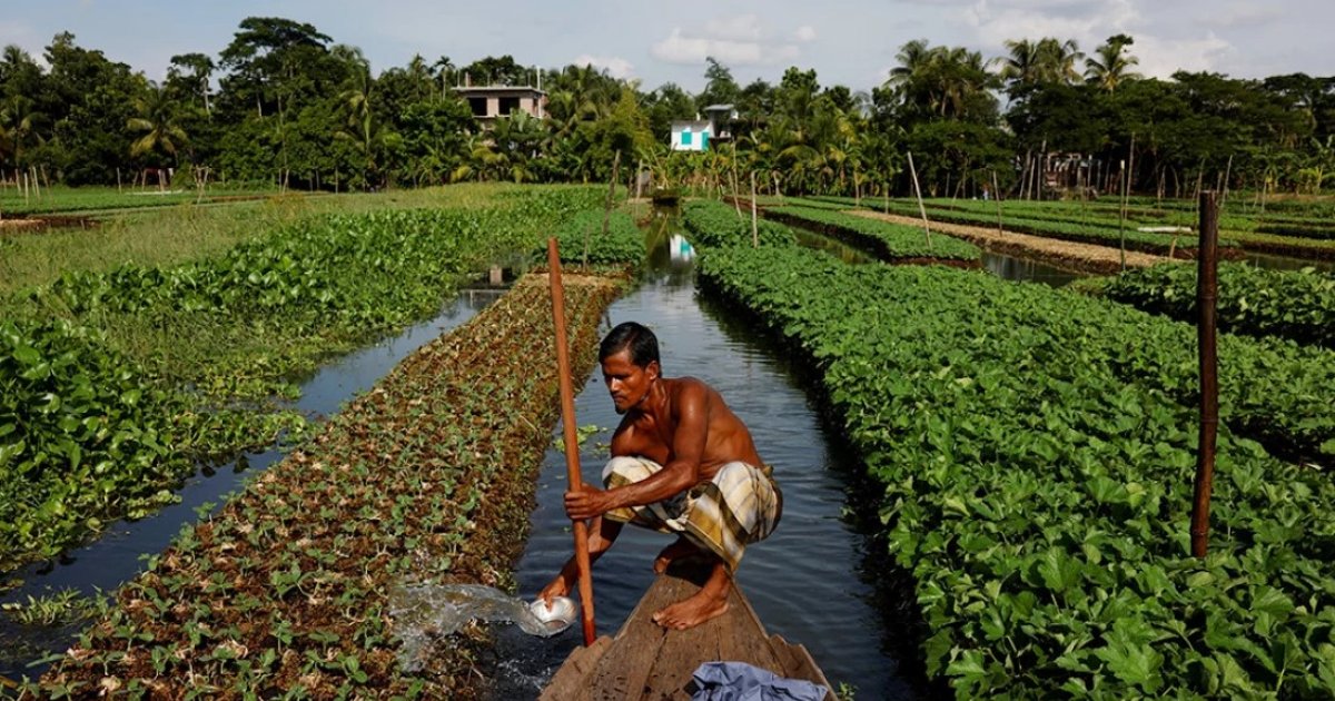 ICCB: Climate resilient farming needed for sustainable development