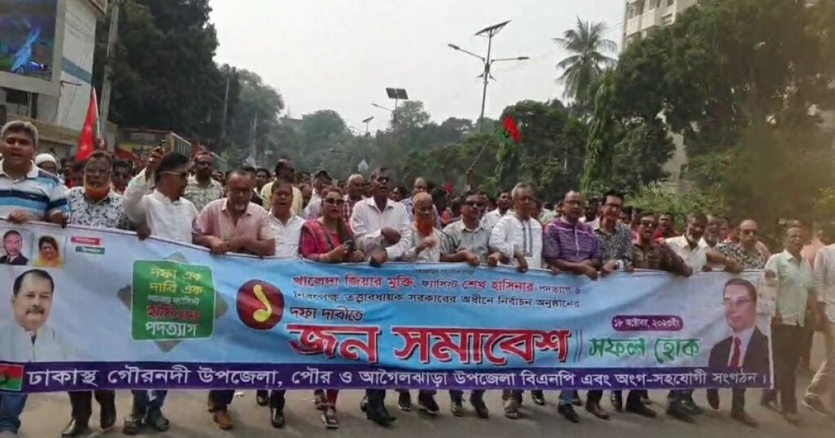 Anti-govt movement: BNP leaders, activists rally at Naya Paltan