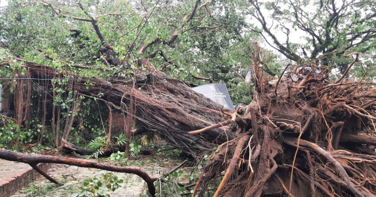 Cyclone Hamoon Cox's Bazar death toll rises to three