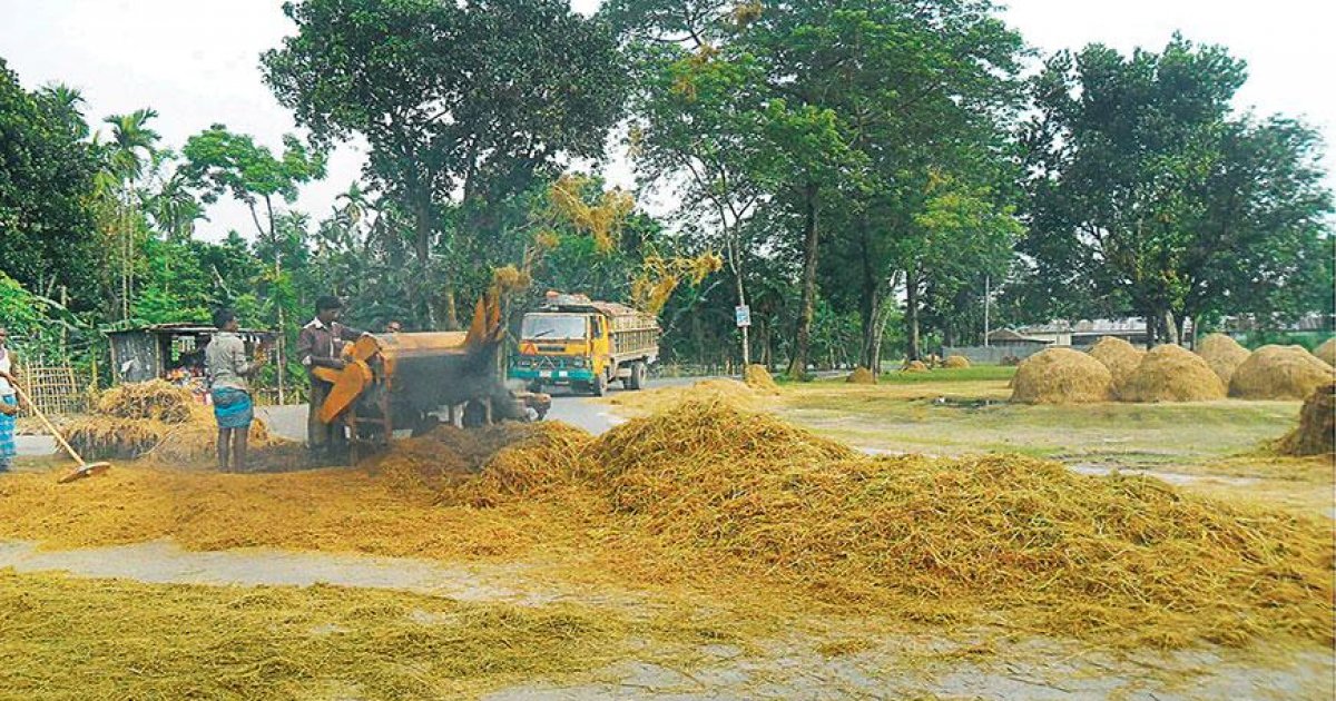 Paddy processing makes way tough