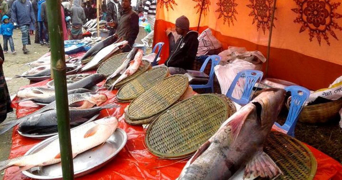 In pictures: Tradition continues as 200-yr old fish fair kicks off in ...