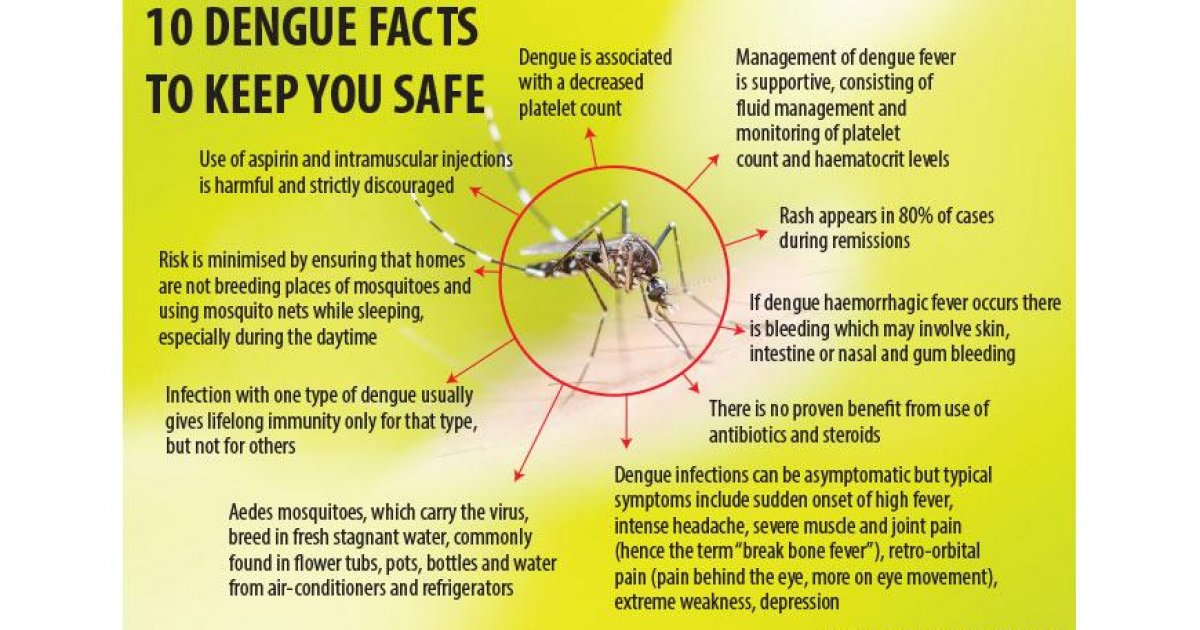 Dengue on the rise